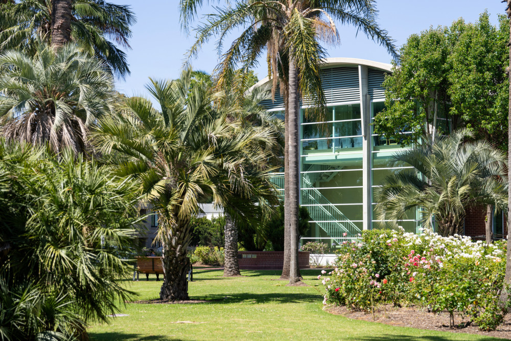 Our History | Burnside Hospital